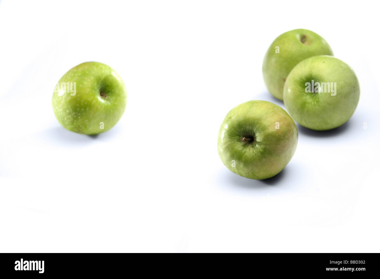 Apple malus domestica green apple -Fotos und -Bildmaterial in hoher ...