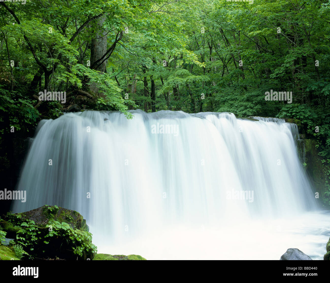Choshi wasserfall -Fotos und -Bildmaterial in hoher Auflösung – Alamy