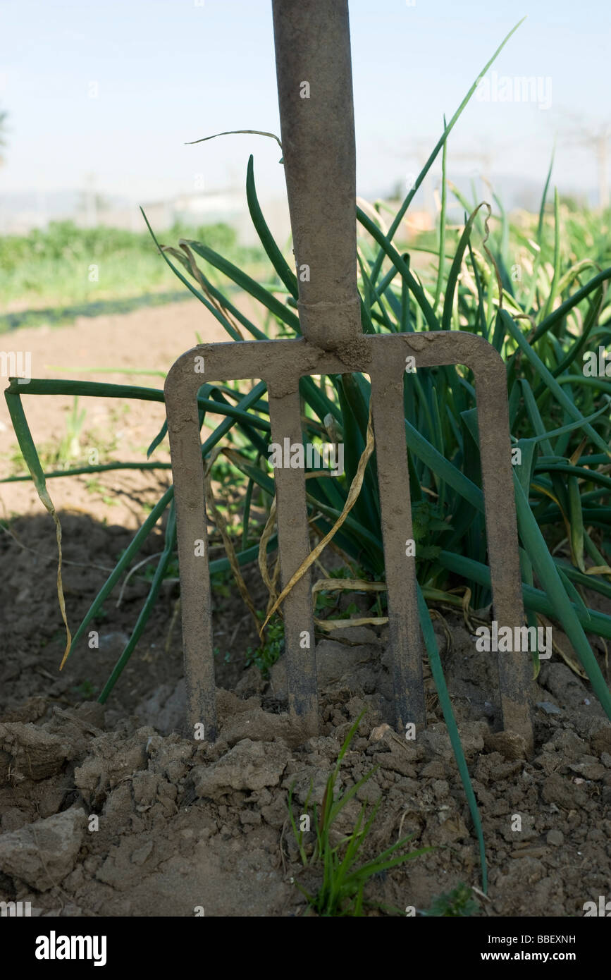 Landwirtschaft Gabel Stockfotos und -bilder Kaufen - Alamy