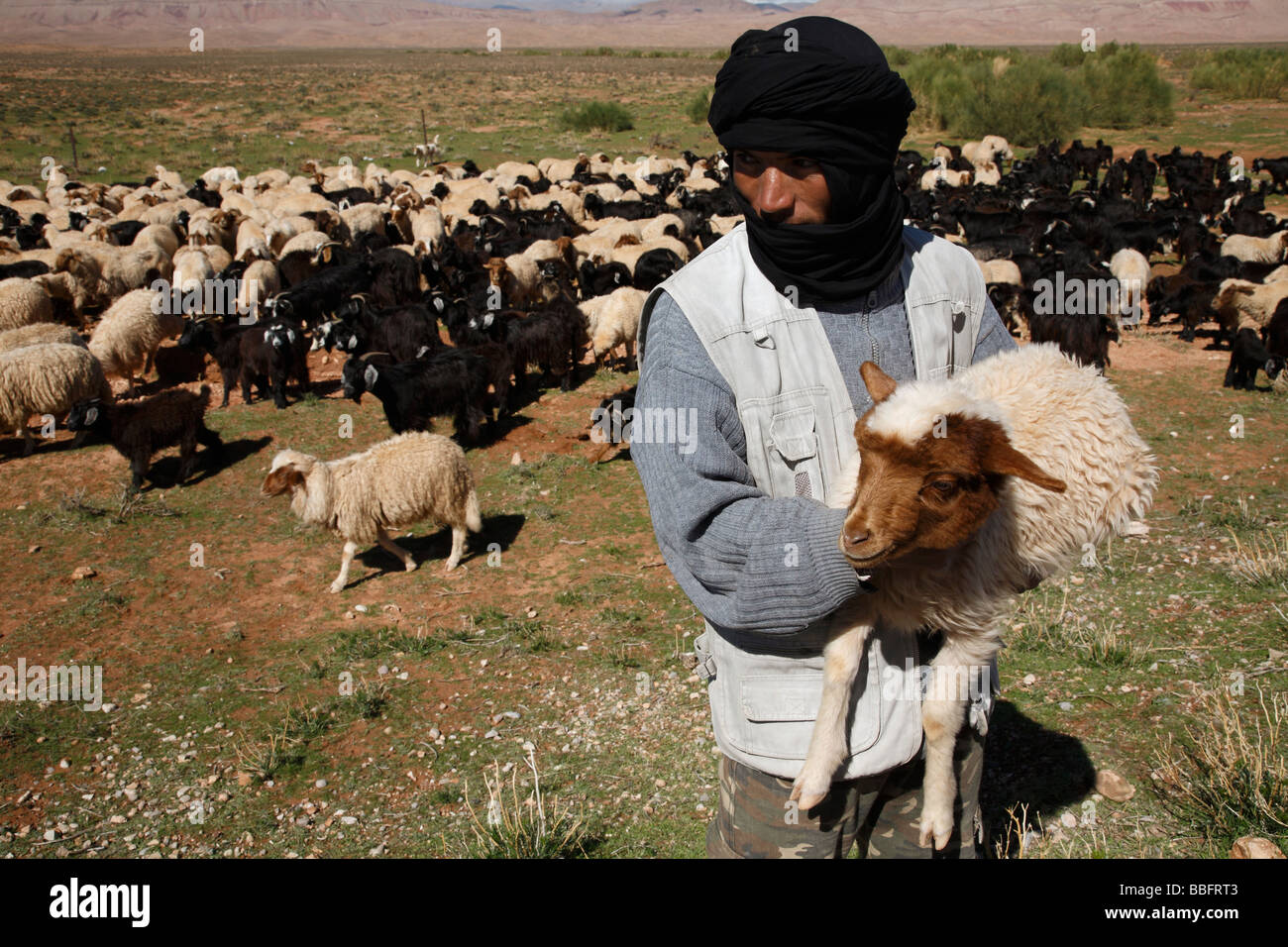 Hirte und Sein Schaf Stockfotos und -bilder Kaufen - Alamy
