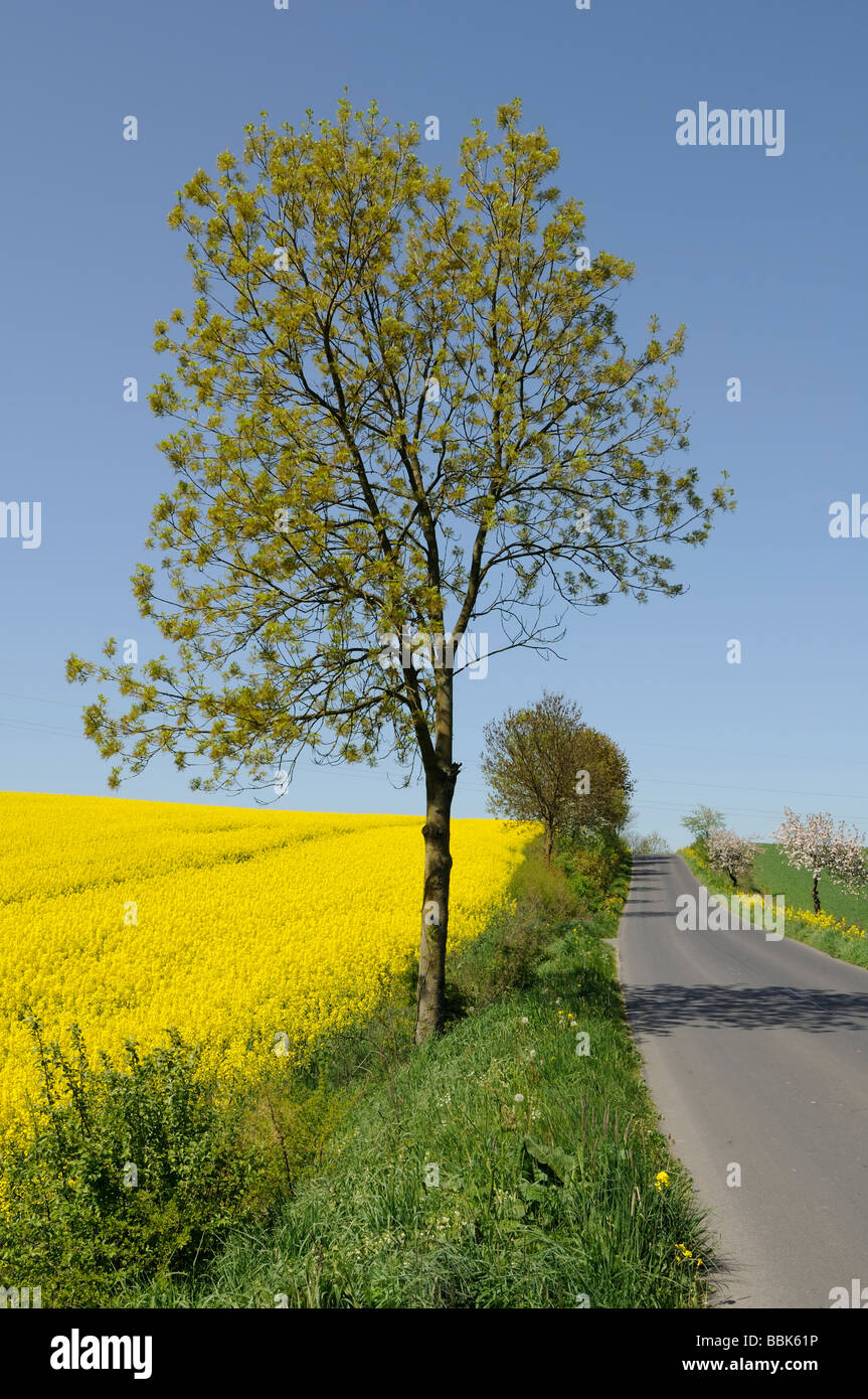 Typische polnische landschaft -Fotos und -Bildmaterial in hoher ...