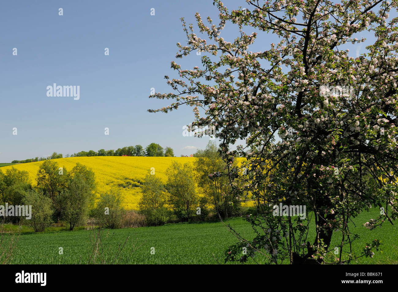 Typische polnische landschaft -Fotos und -Bildmaterial in hoher ...