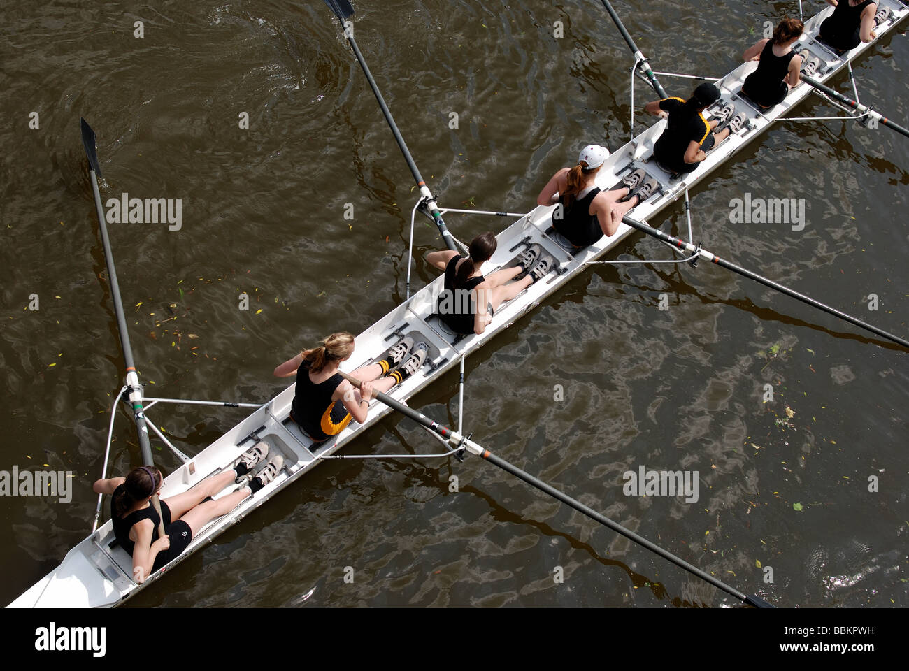 Rowing eight from above -Fotos und -Bildmaterial in hoher Auflösung – Alamy