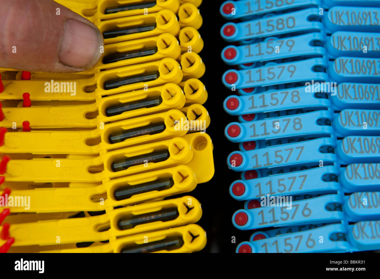 Chip Aufzeichnungen Stockfotos und -bilder Kaufen - Alamy