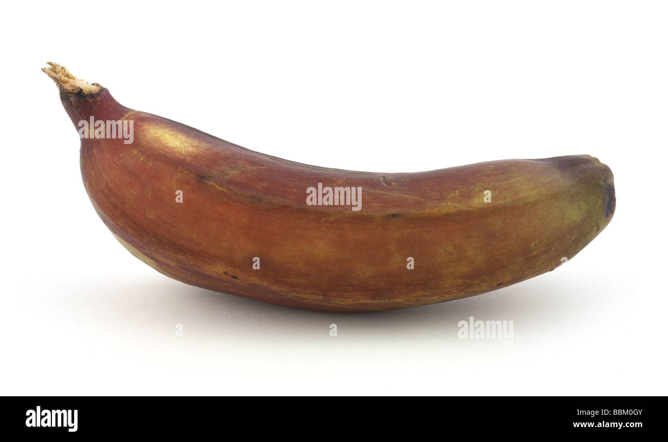 Kleine banane -Fotos und -Bildmaterial in hoher Auflösung – Alamy