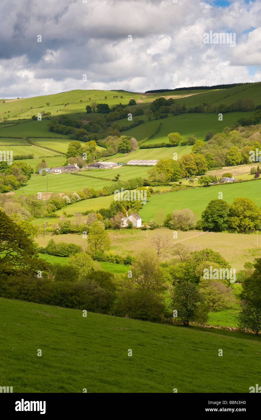 Cothi valley -Fotos und -Bildmaterial in hoher Auflösung – Alamy