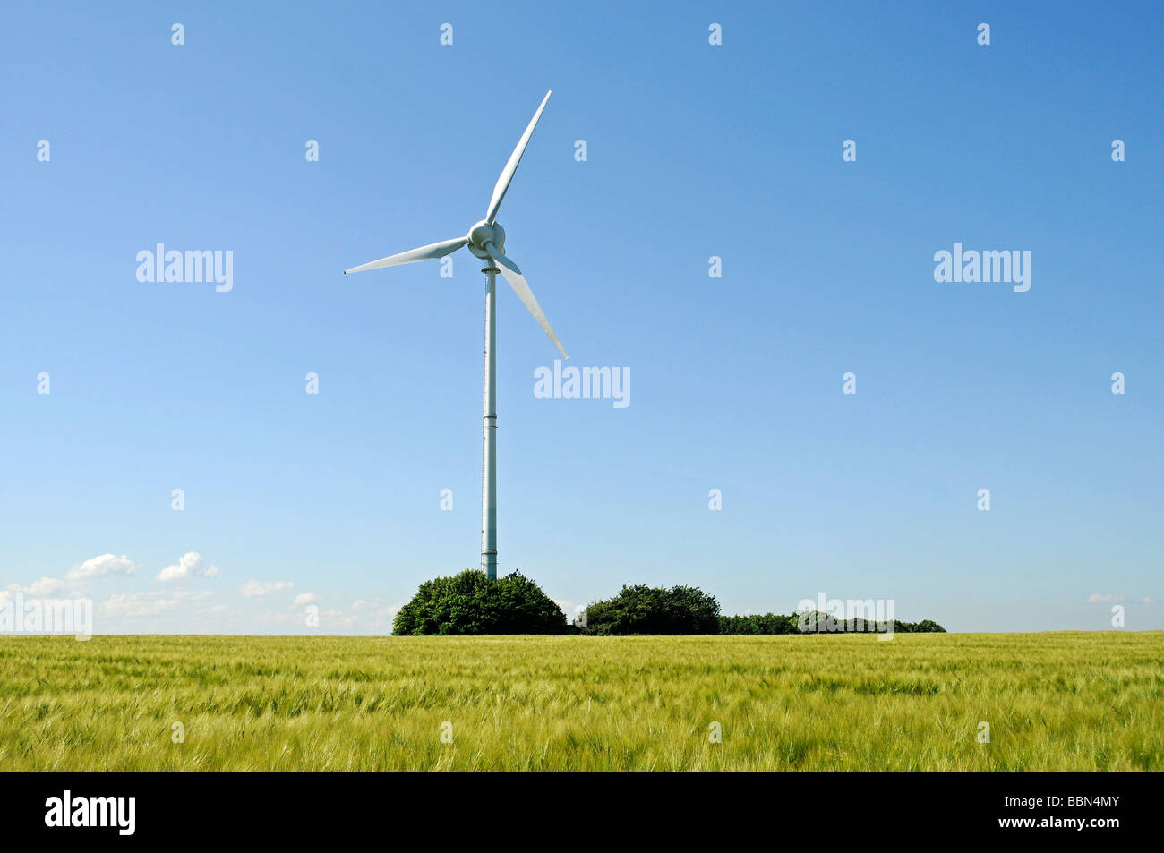 Einzelne Windturbine, Grainfield, Moehnesee See, Kreis Soest, Nordrhein ...