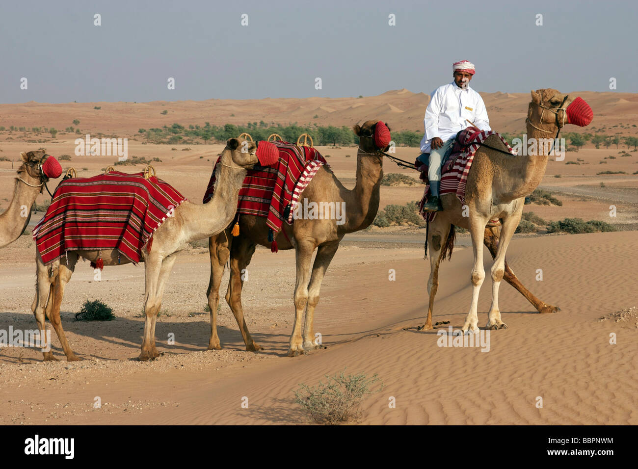 KAMEL-KARAWANE, KAMEL-TREIBER, WÜSTE, HOTEL, AL MAHA DESERT RESORT AND ...