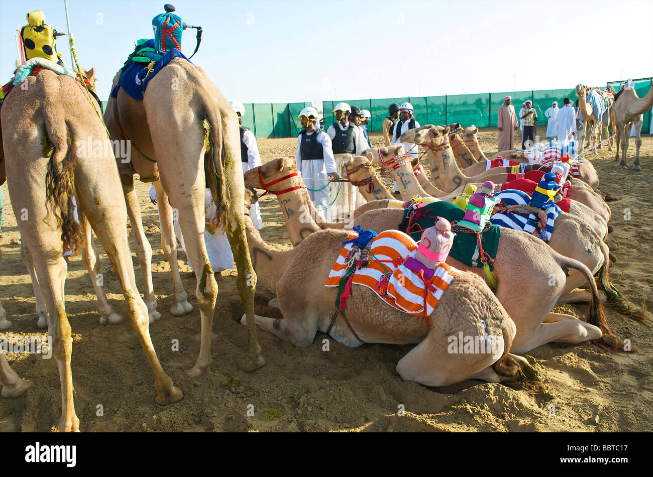 Robot Jockeys Dubai Stockfotos und -bilder Kaufen - Alamy