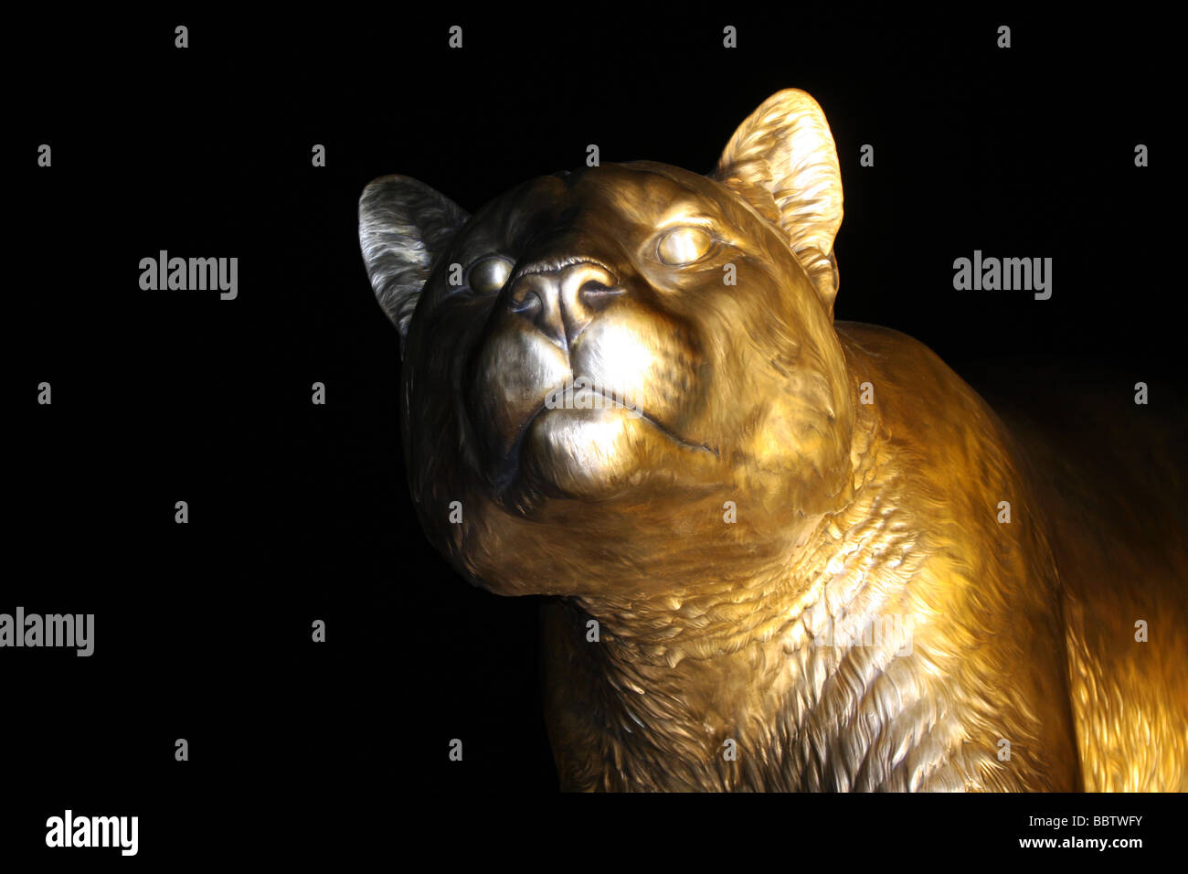 Stadion auf dem campus -Fotos und -Bildmaterial in hoher Auflösung – Alamy