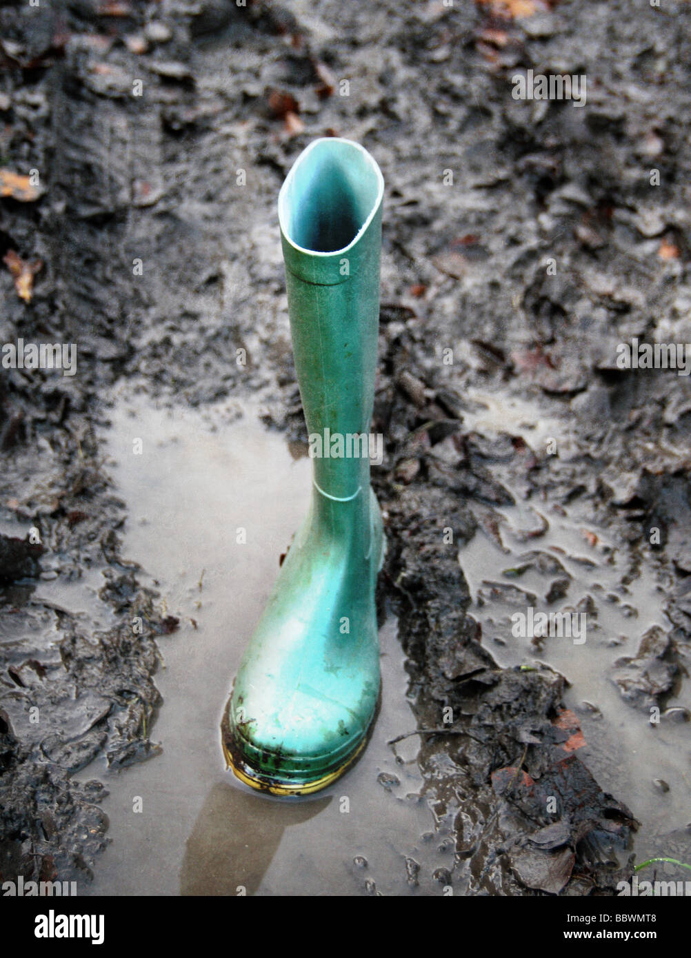 Im schlamm stecken geblieben -Fotos und -Bildmaterial in hoher ...