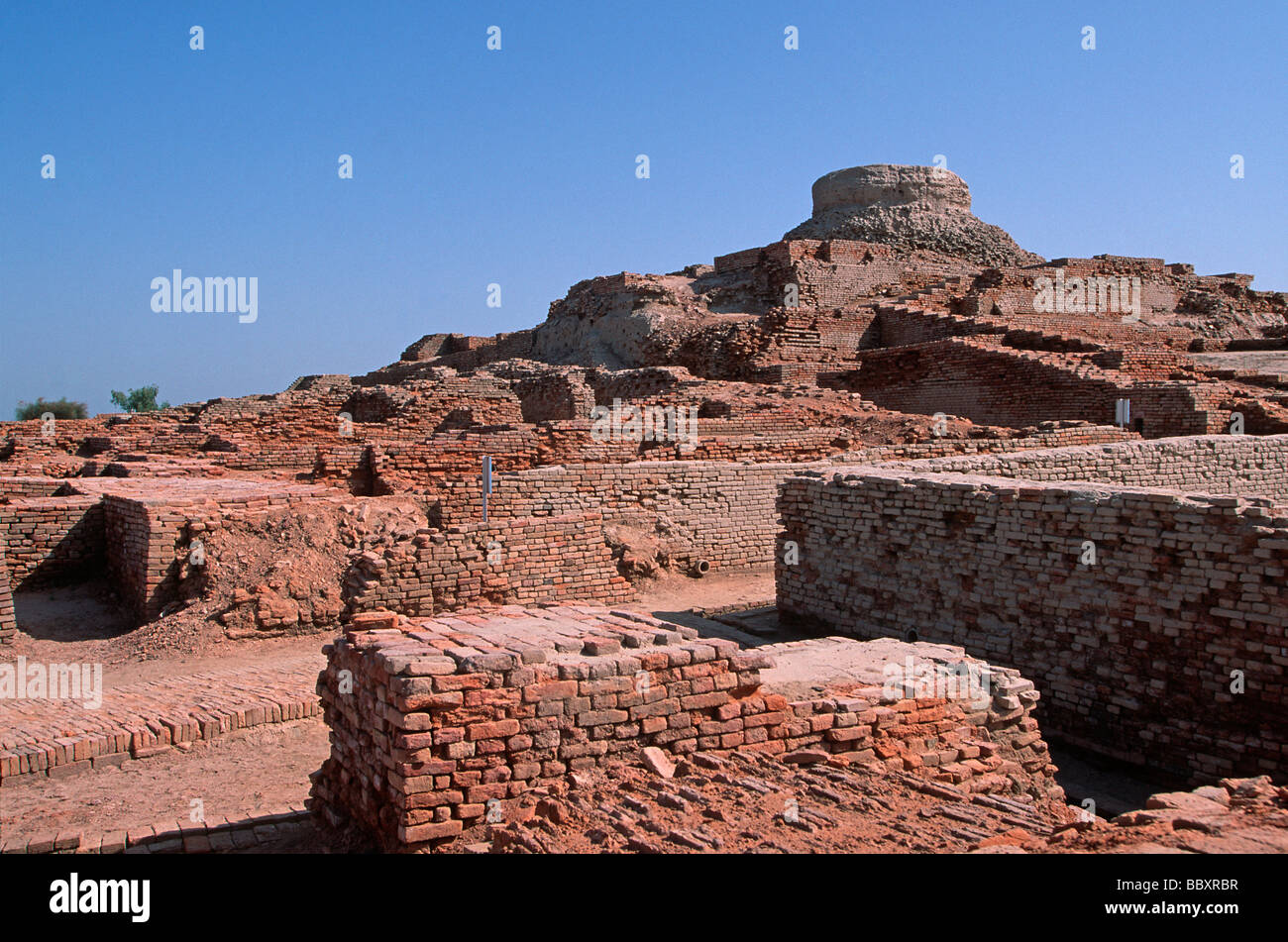 Pakistan Sindh Region Mohenjo-Daro-Stupa Stockfotografie - Alamy
