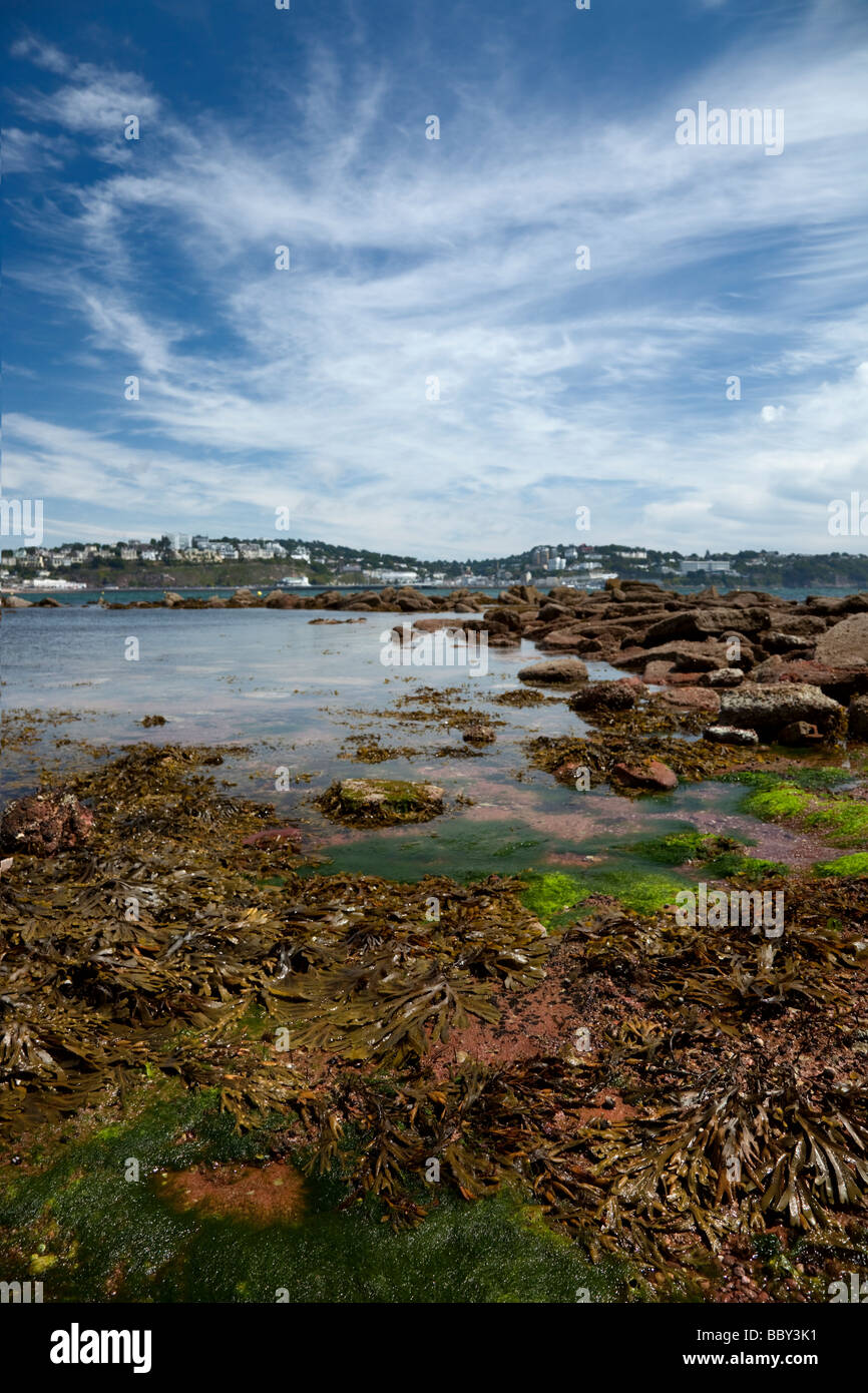 Torquay agatha christie -Fotos und -Bildmaterial in hoher Auflösung – Alamy