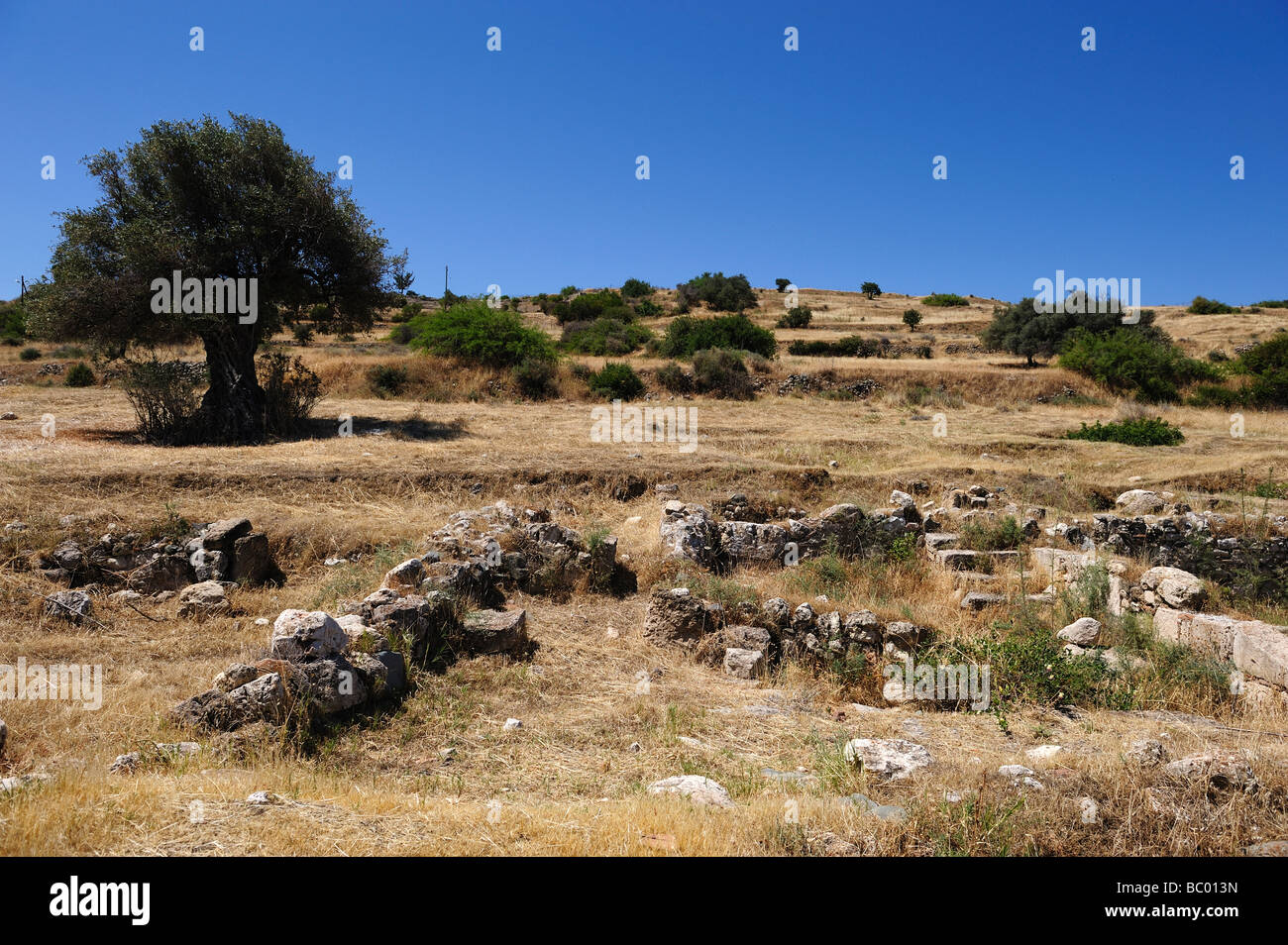 Soli Cyprus Stockfotos und -bilder Kaufen - Alamy