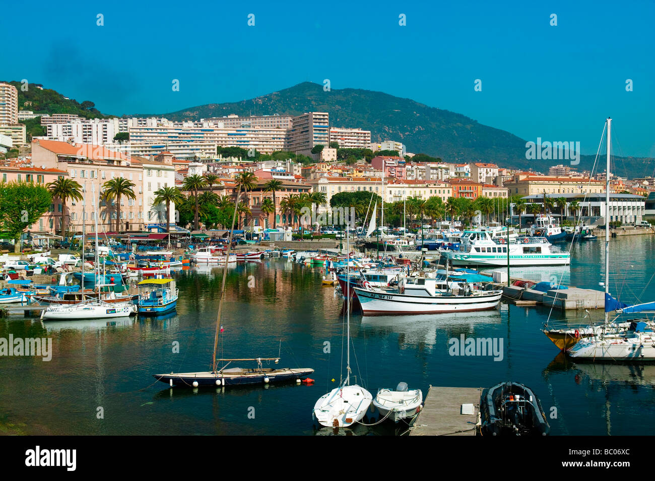 AJACCIO-KORSIKA-FRANKREICH Stockfoto, Bild: 24591684 - Alamy