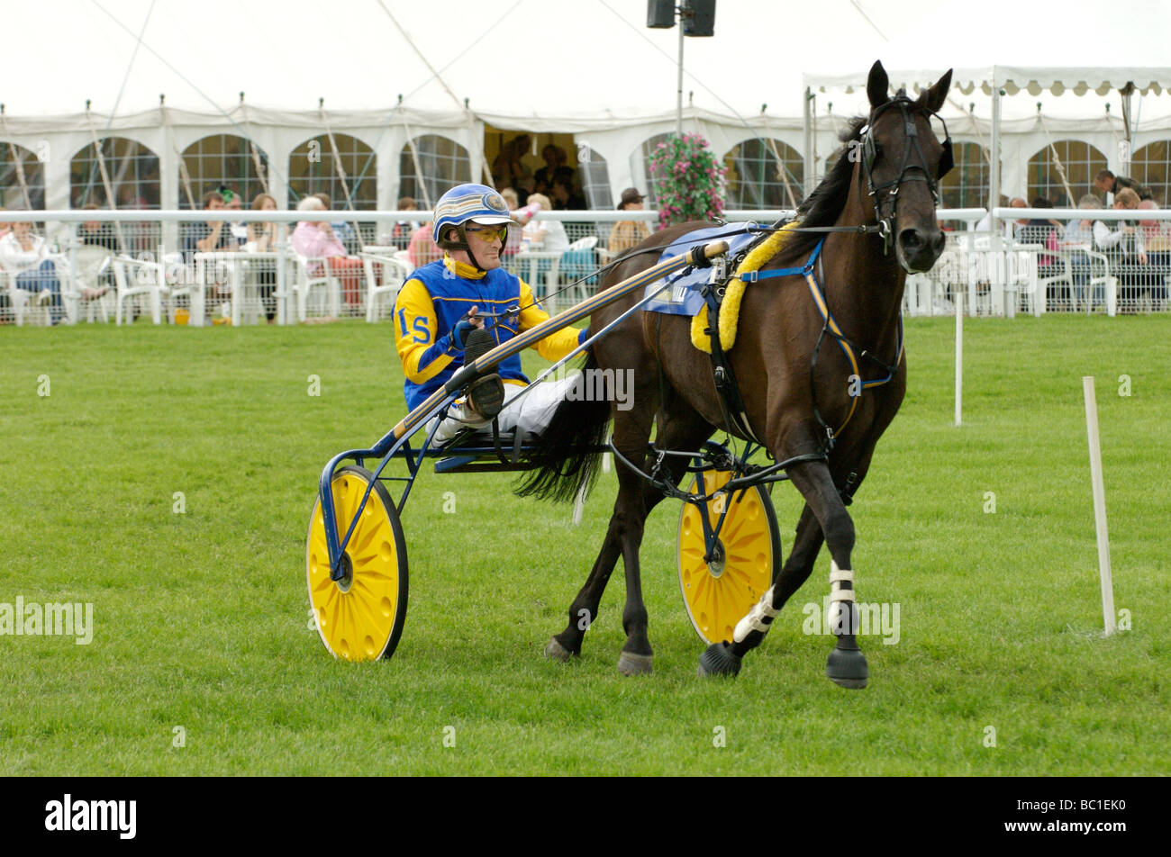 Pferd und Trabrennen Stockfotografie - Alamy