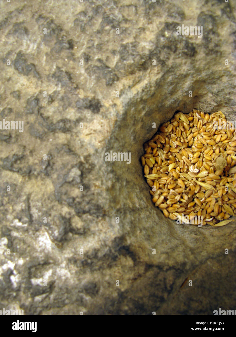 Mahlen von samen, um mehl zu machen -Fotos und -Bildmaterial in hoher ...