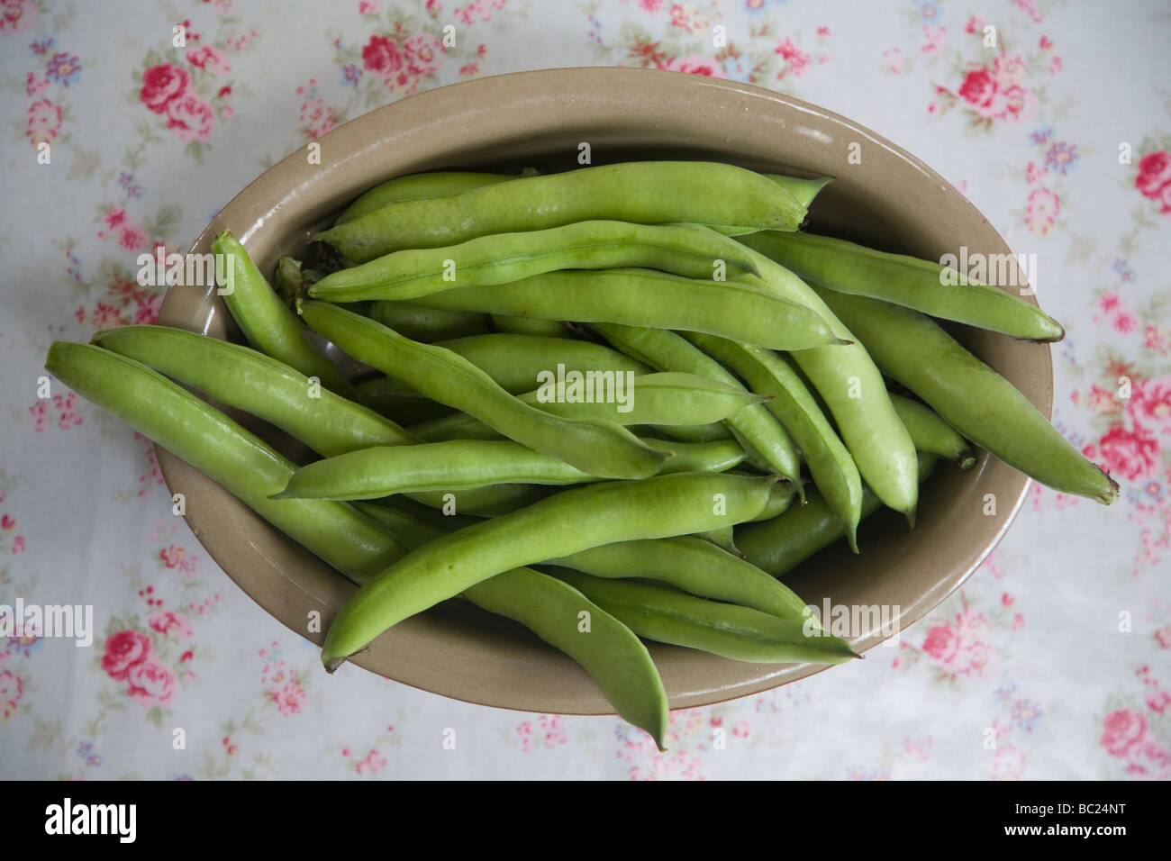 Bohnen in schoten -Fotos und -Bildmaterial in hoher Auflösung – Alamy