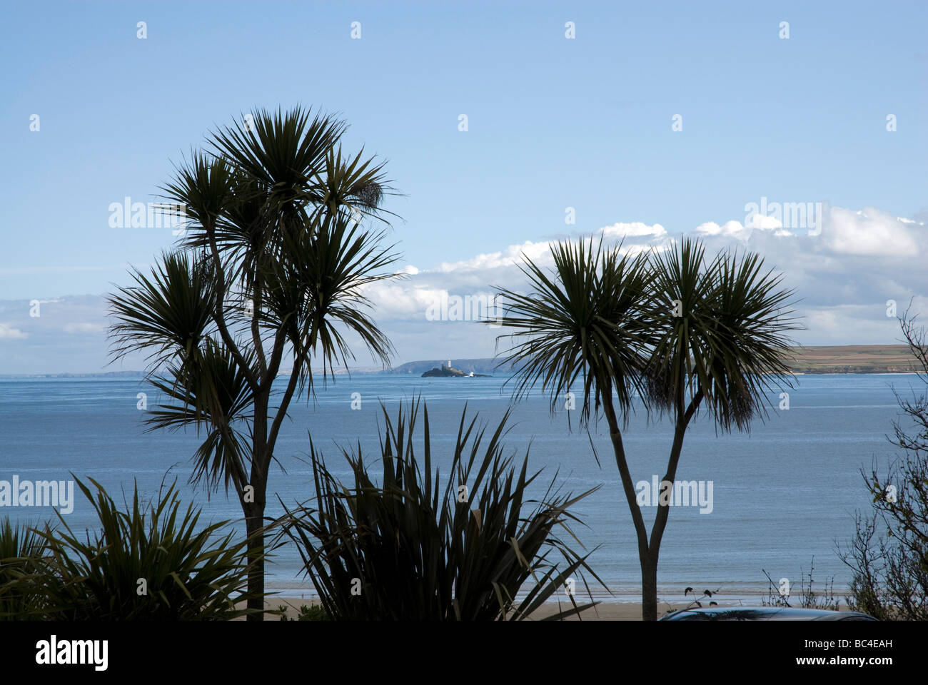 Palmen mit Blick auf Porthminster Beach, St. Ives, Cornwall ...
