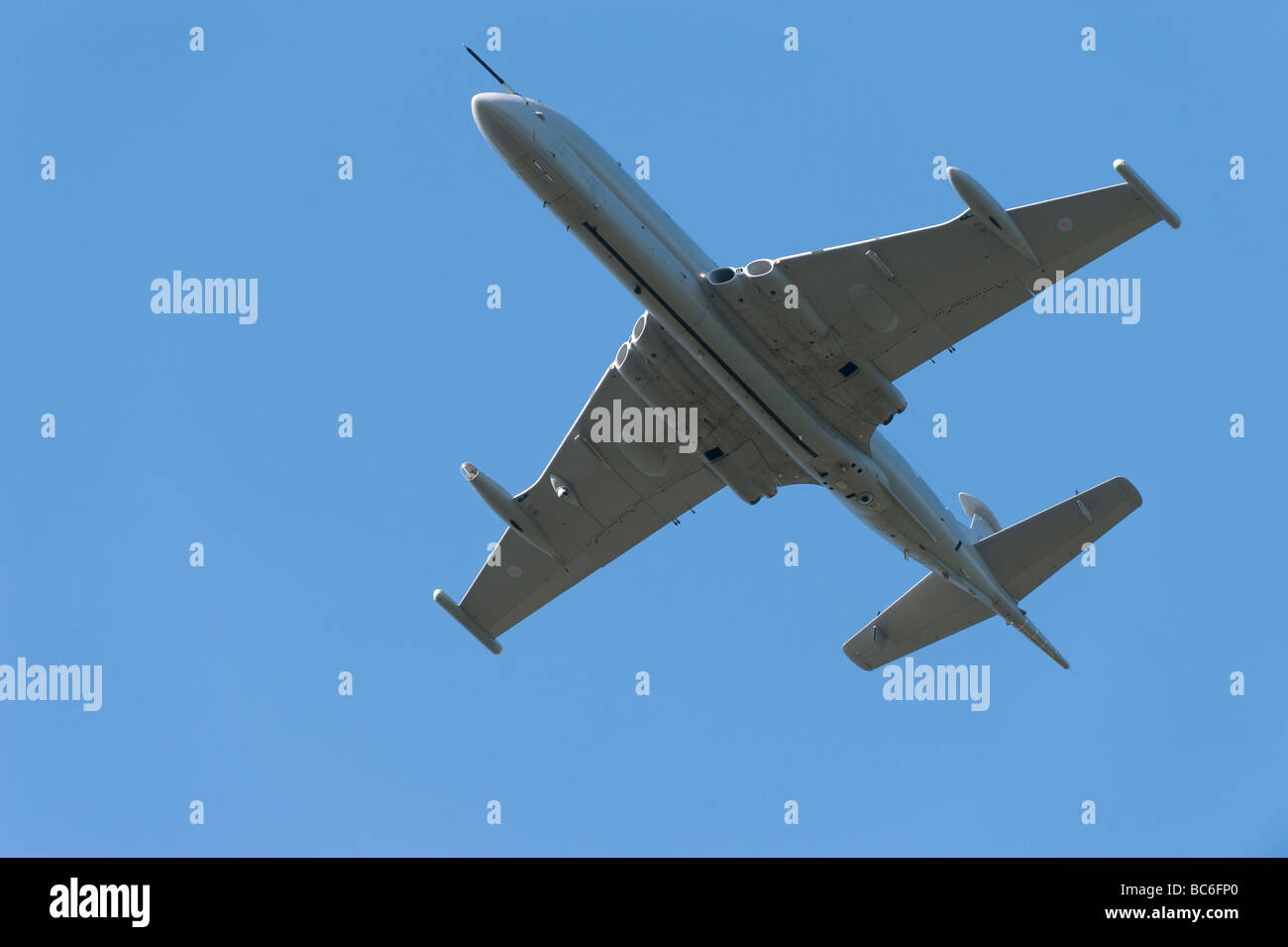 Nimrod raf -Fotos und -Bildmaterial in hoher Auflösung – Alamy
