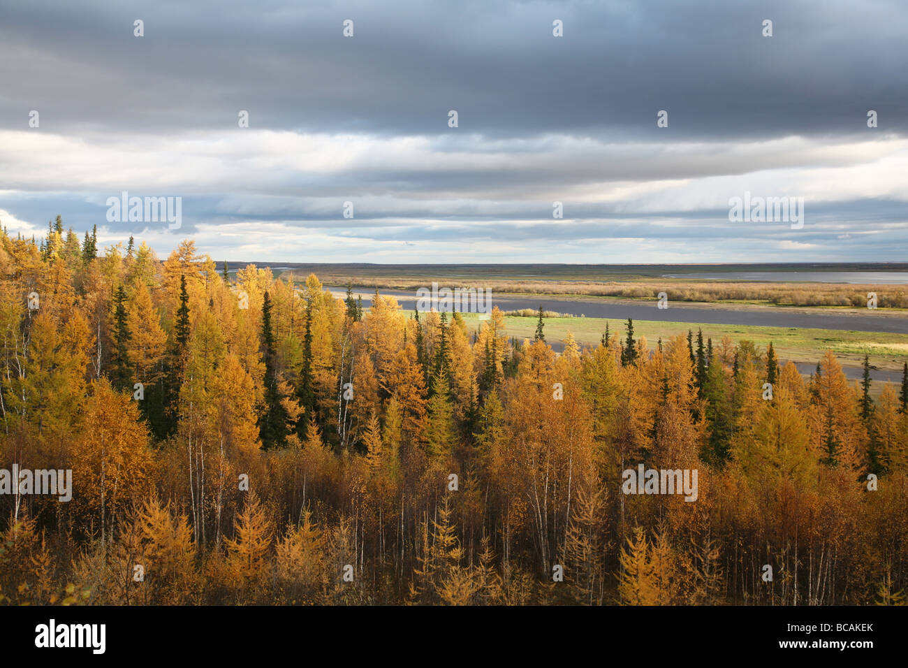 Tyumen region -Fotos und -Bildmaterial in hoher Auflösung – Alamy