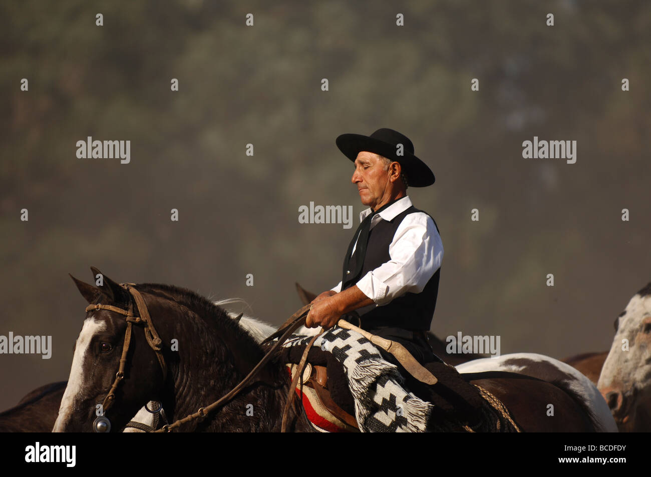 Gaucho hat argentina -Fotos und -Bildmaterial in hoher Auflösung – Alamy
