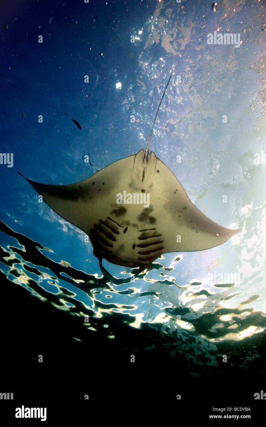 Warmer strahl -Fotos und -Bildmaterial in hoher Auflösung – Alamy