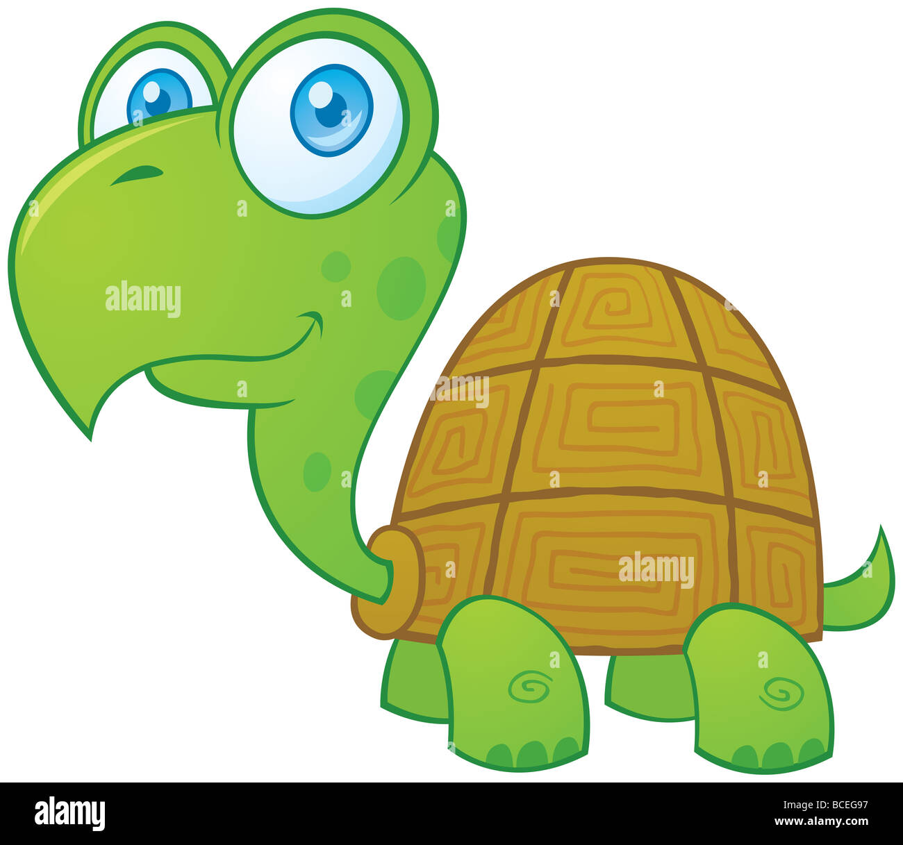 Turtle cartoon -Fotos und -Bildmaterial in hoher Auflösung – Alamy