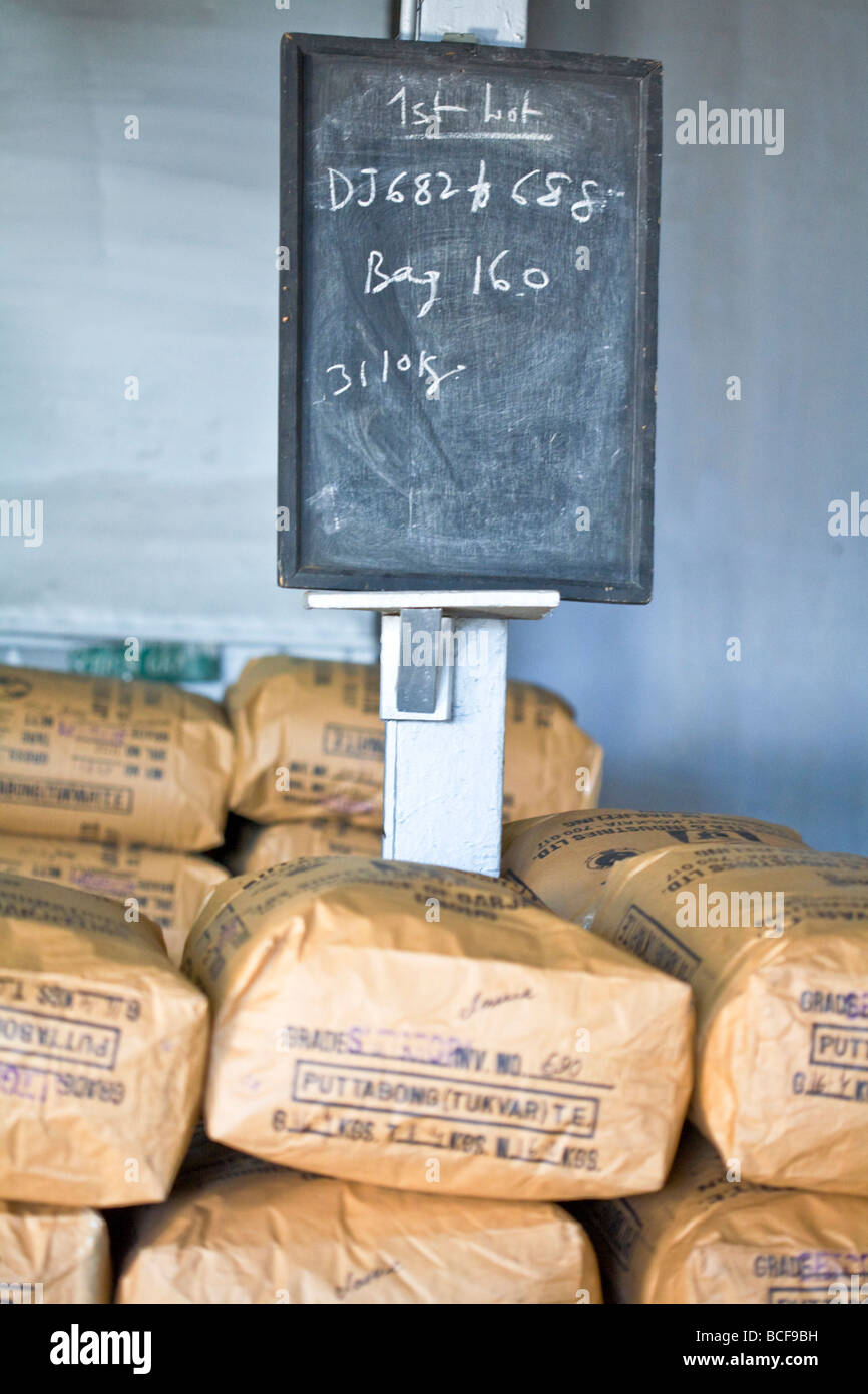 Tukvar darjeeling -Fotos und -Bildmaterial in hoher Auflösung – Alamy