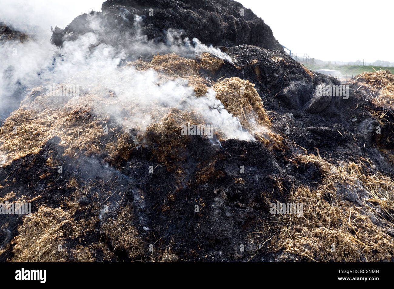 Dampfender mist -Fotos und -Bildmaterial in hoher Auflösung – Alamy