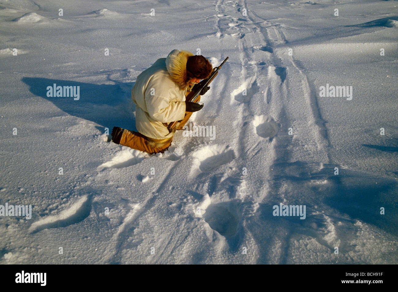 Hunt hunting hunter bear -Fotos und -Bildmaterial in hoher Auflösung ...