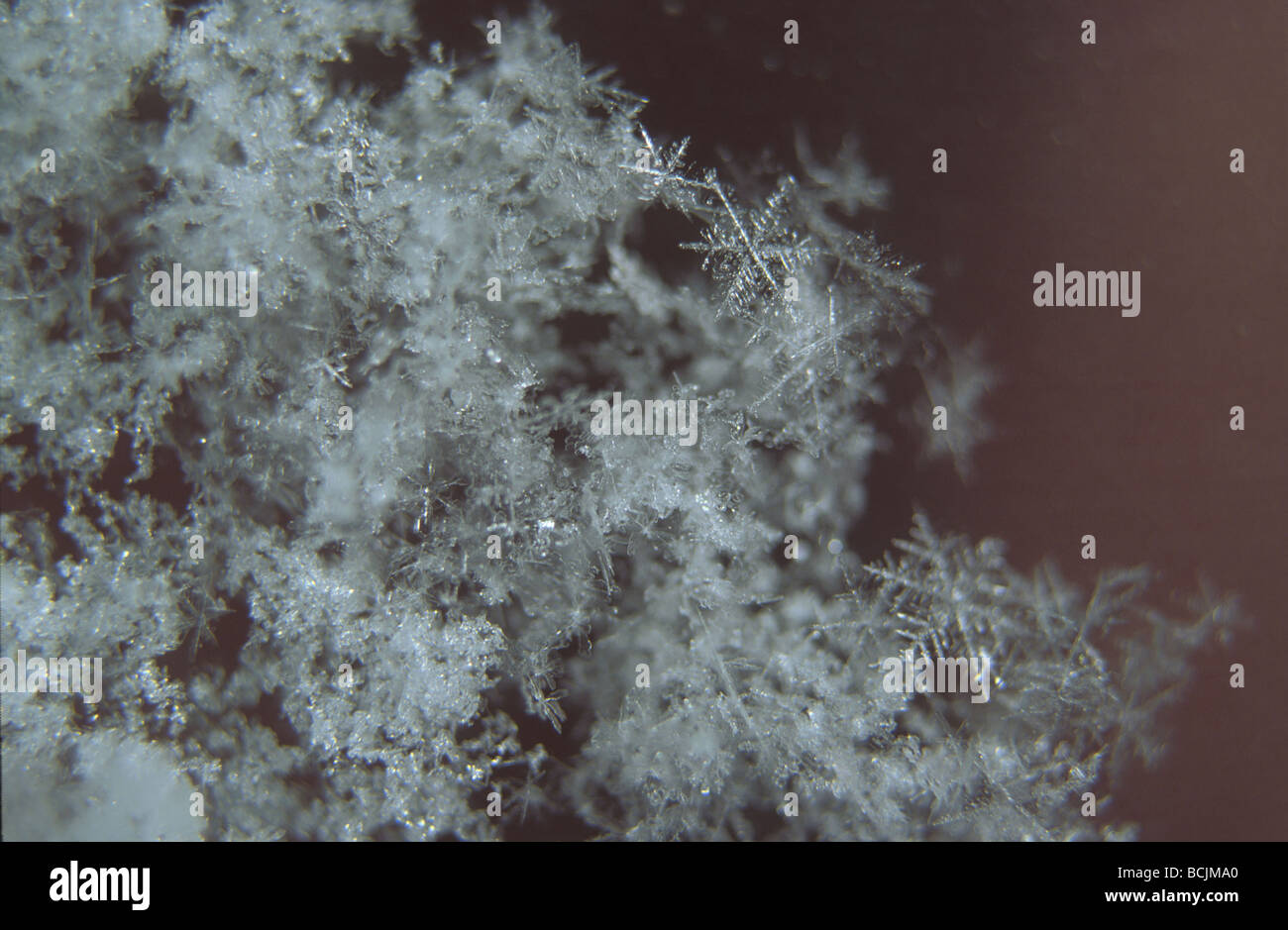 Detail snowflakes ice crystals alaska -Fotos und -Bildmaterial in hoher ...