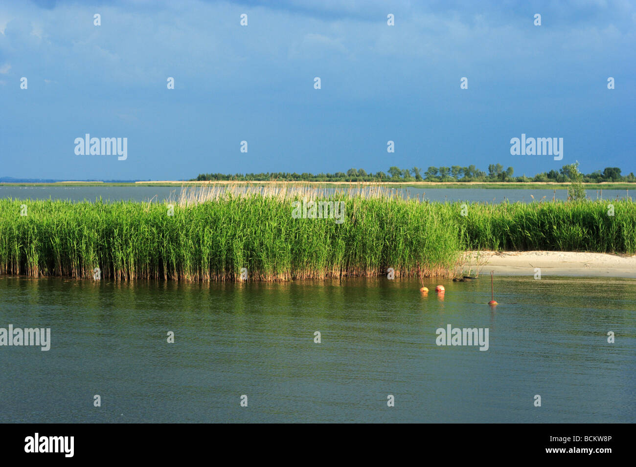 Das Frische Haff Polnisch Zalew Wiślany in Polen Stockfotografie - Alamy