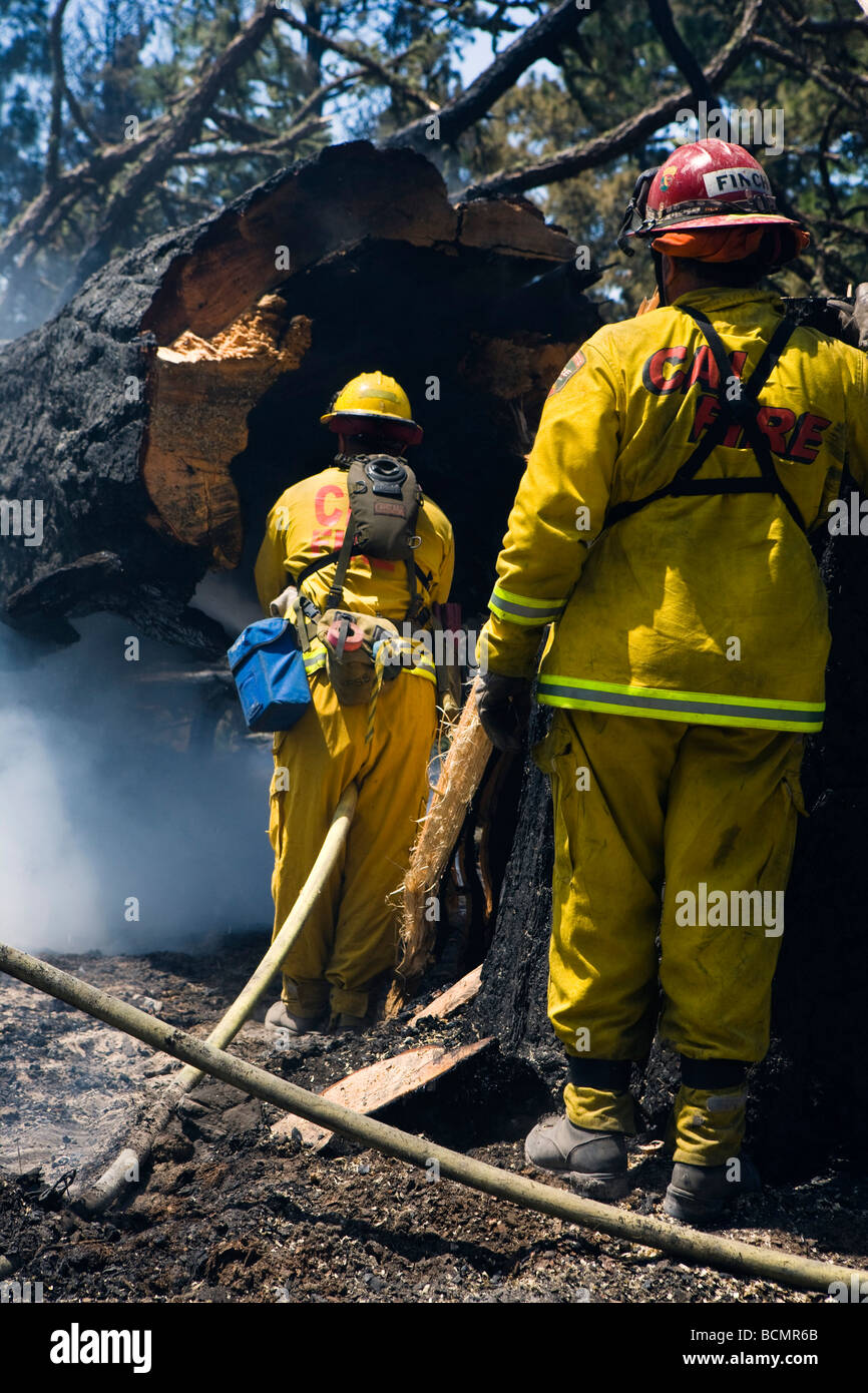 California Wildfire in Santa Cruz Mountains. CALFIRE/CDF Wildland ...