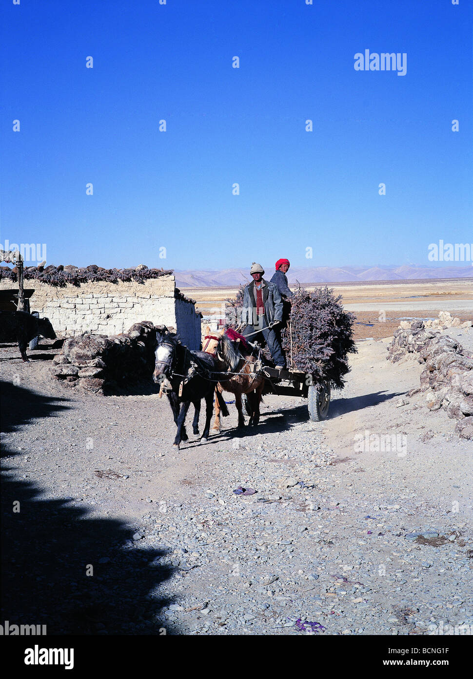Tingri Xigaze Tibet China Stockfotos und -bilder Kaufen - Alamy
