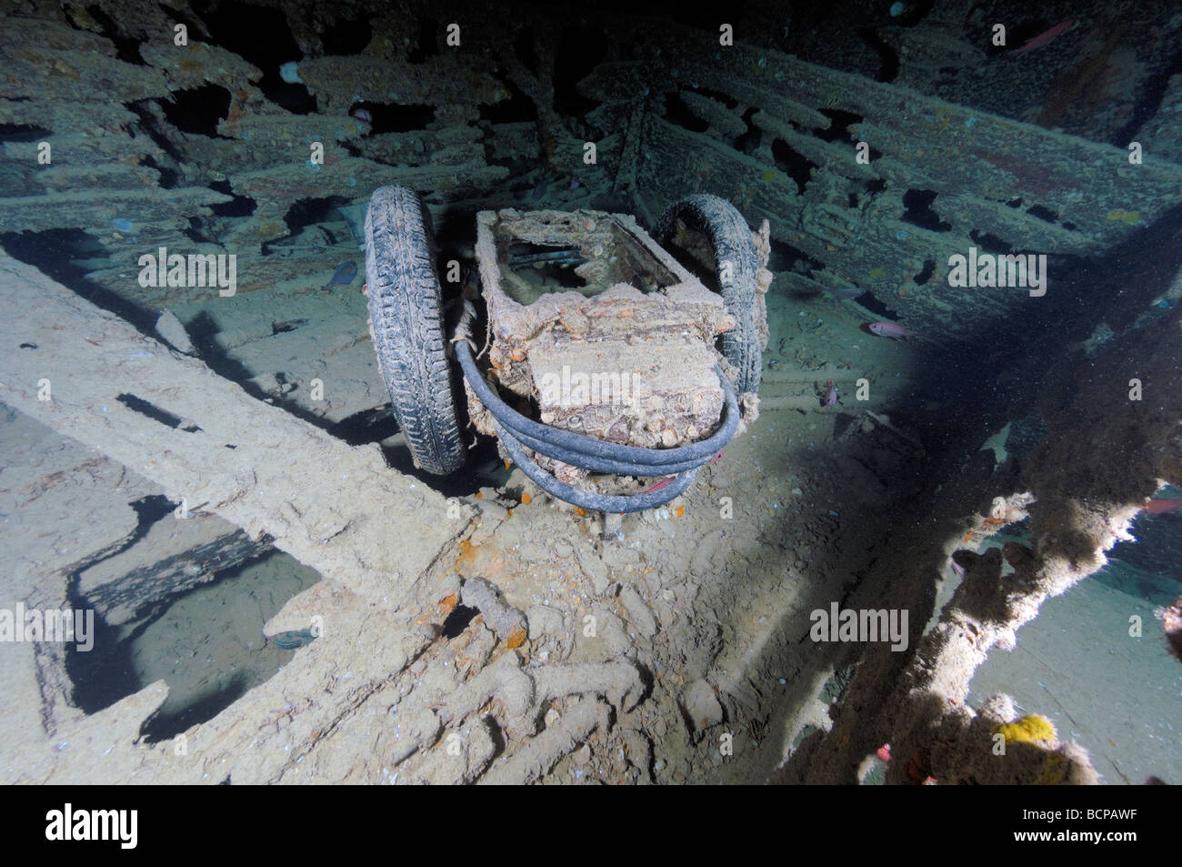 Kriegsmaterial liegt rosten im Frachtraum die Thistlegorm, im Roten ...