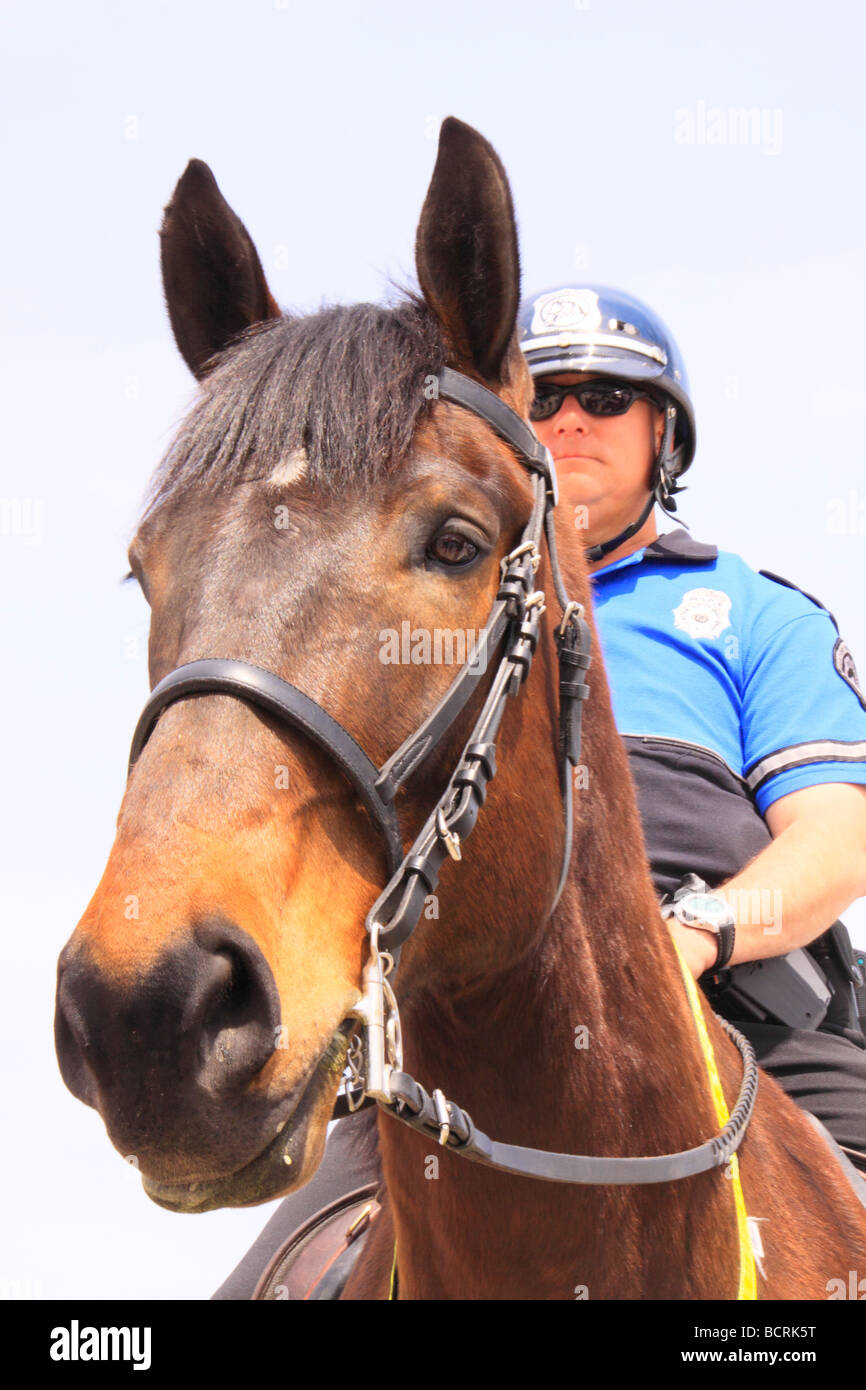Police Horse Stockfotos und -bilder Kaufen - Alamy