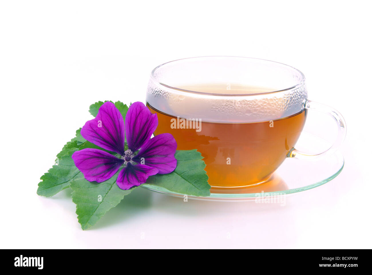 Malva tee -Fotos und -Bildmaterial in hoher Auflösung – Alamy