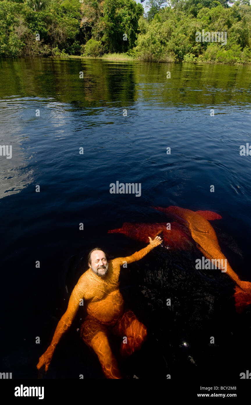 Schwimmen mit dem Amazonas rosa Delphin (Inia Geoffrensis), auch im ...