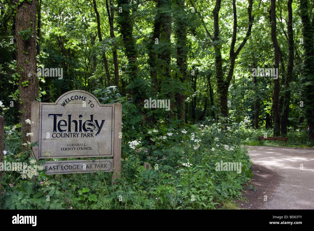 Tehidy country park -Fotos und -Bildmaterial in hoher Auflösung – Alamy