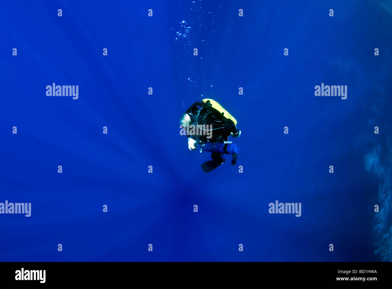 Rebreather technischer taucher -Fotos und -Bildmaterial in hoher ...