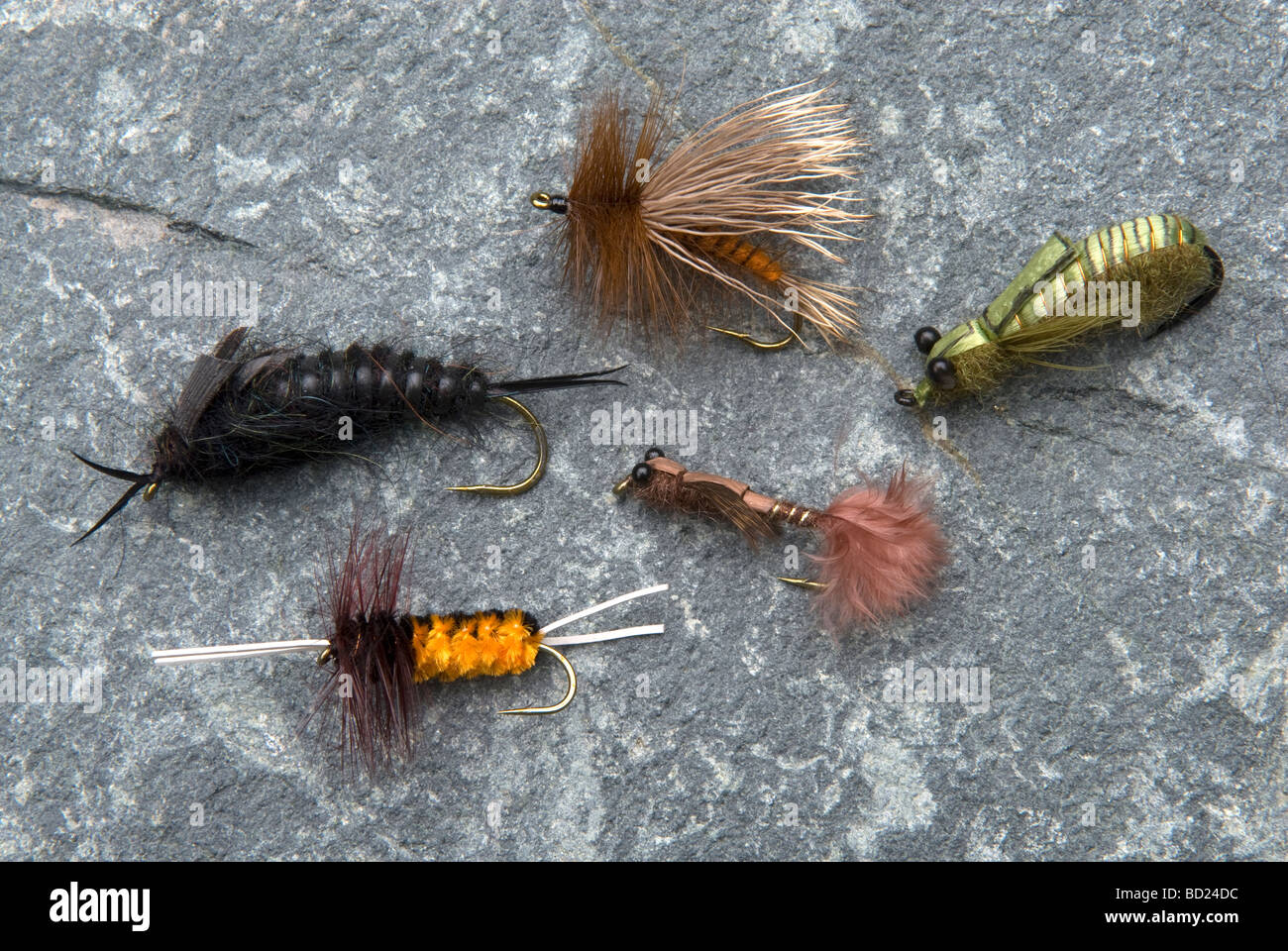 Fliegenfischen nymphenfliegen -Fotos und -Bildmaterial in hoher ...