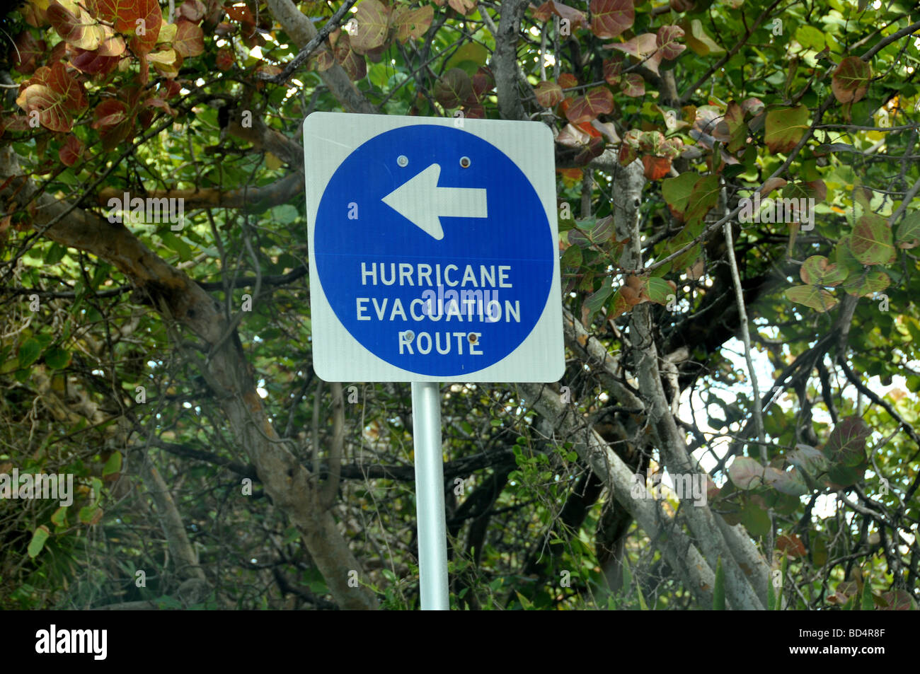 Evacuate sign -Fotos und -Bildmaterial in hoher Auflösung – Alamy