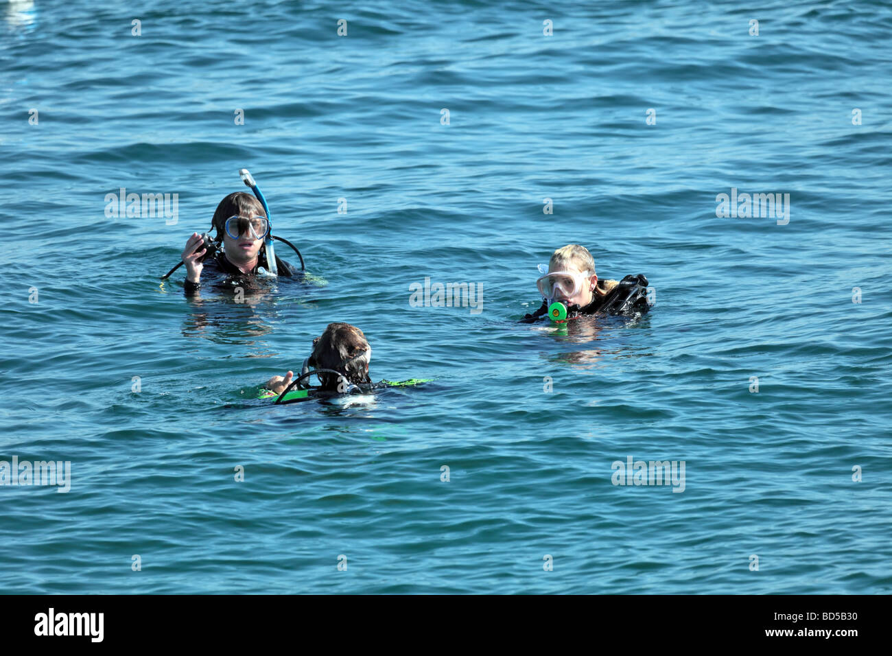 Tauchen sie ein in den ozean -Fotos und -Bildmaterial in hoher Auflösung – Alamy