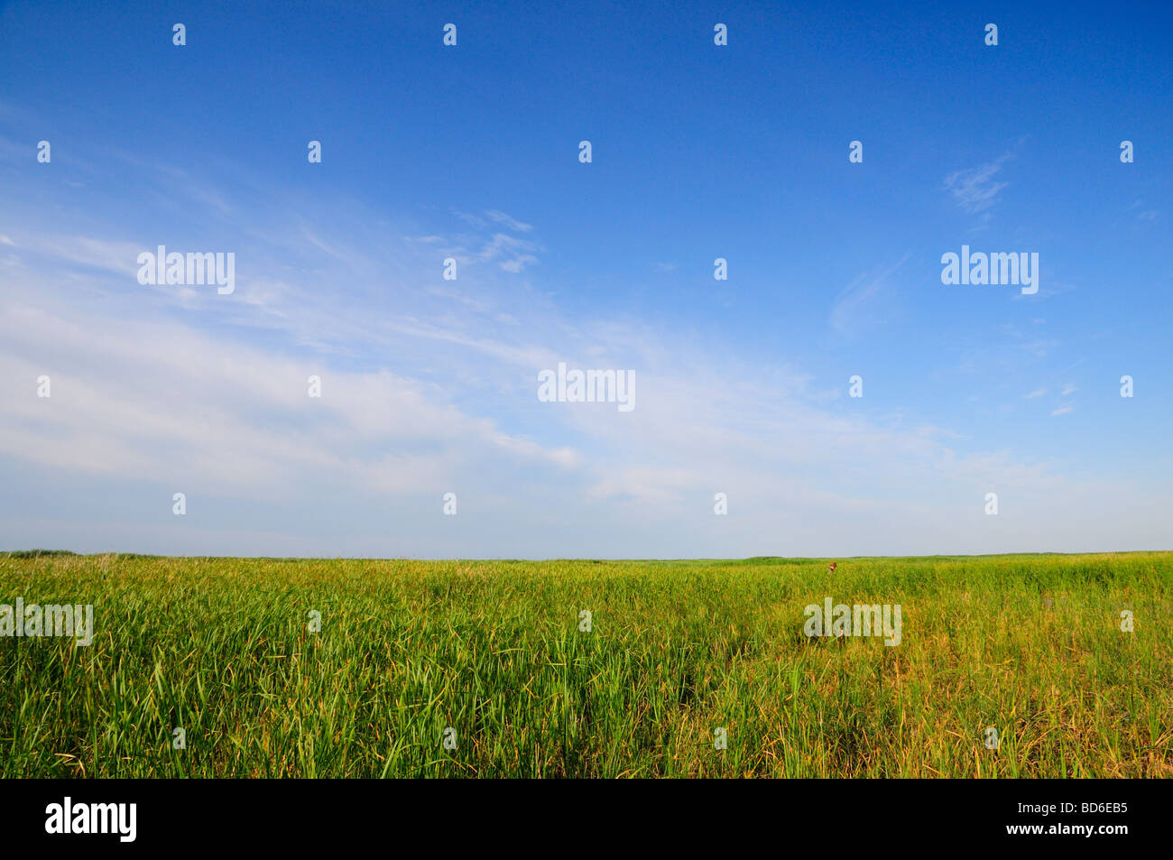 Teil einer Reihe von Ansichten zeigt Peshoe Gegend, wo der Ural-Fluss ...