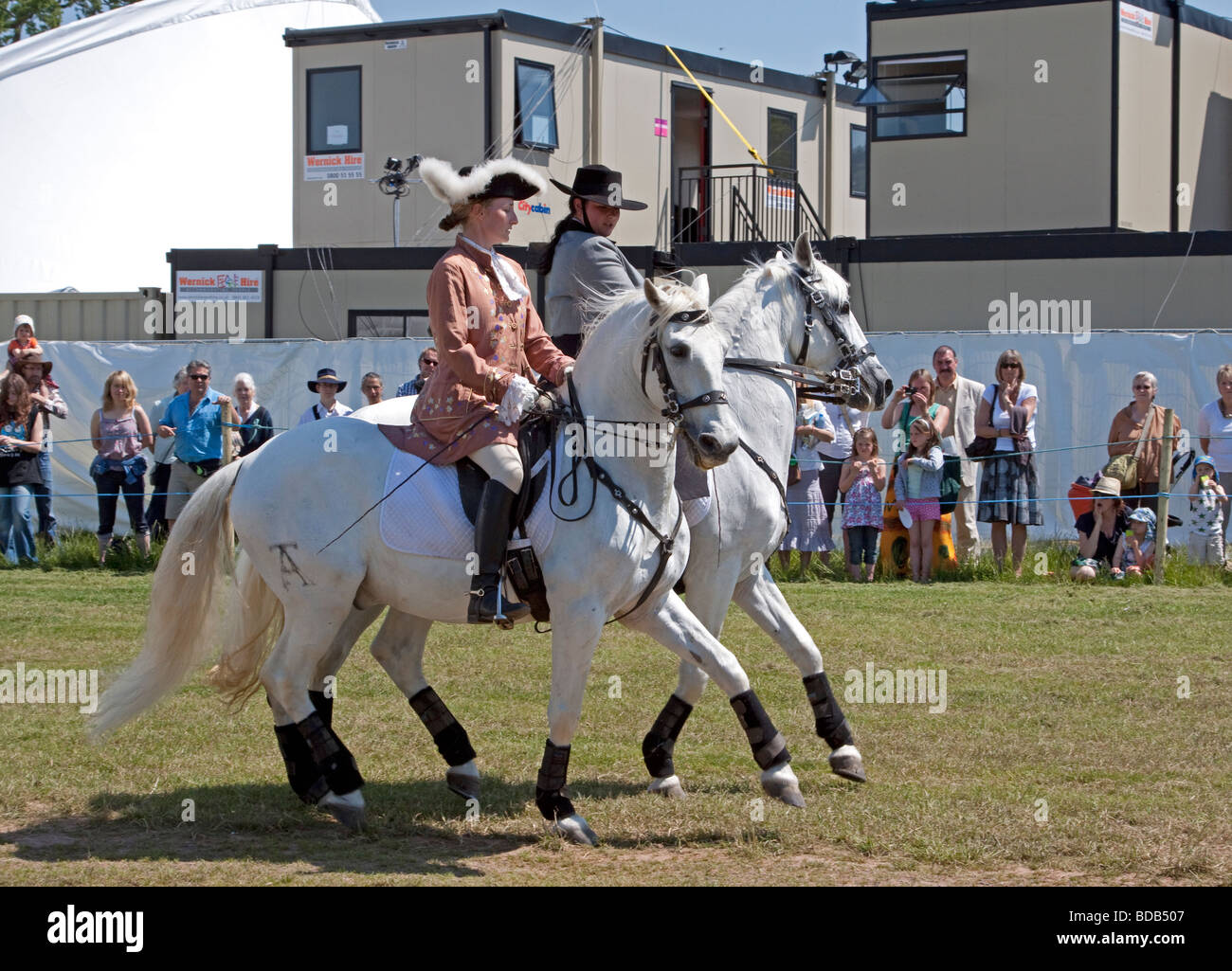 Zwei Lusitano Pferde dabei eine Dressur-Demonstration am Hay on Wye ...
