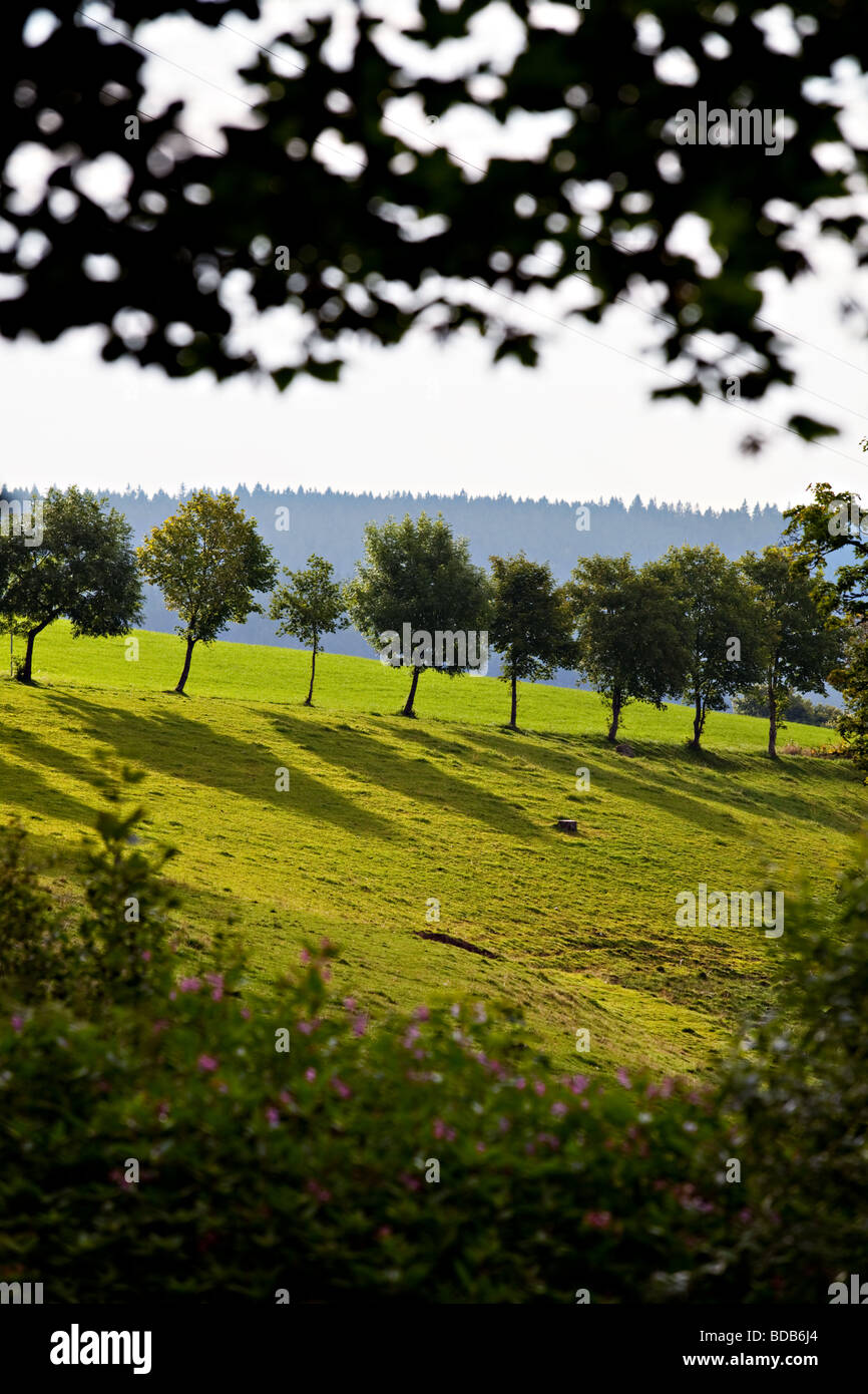 Landschaft der Breg Fluss Tal-Quelle der Donau-Delta, Furtwangen ...