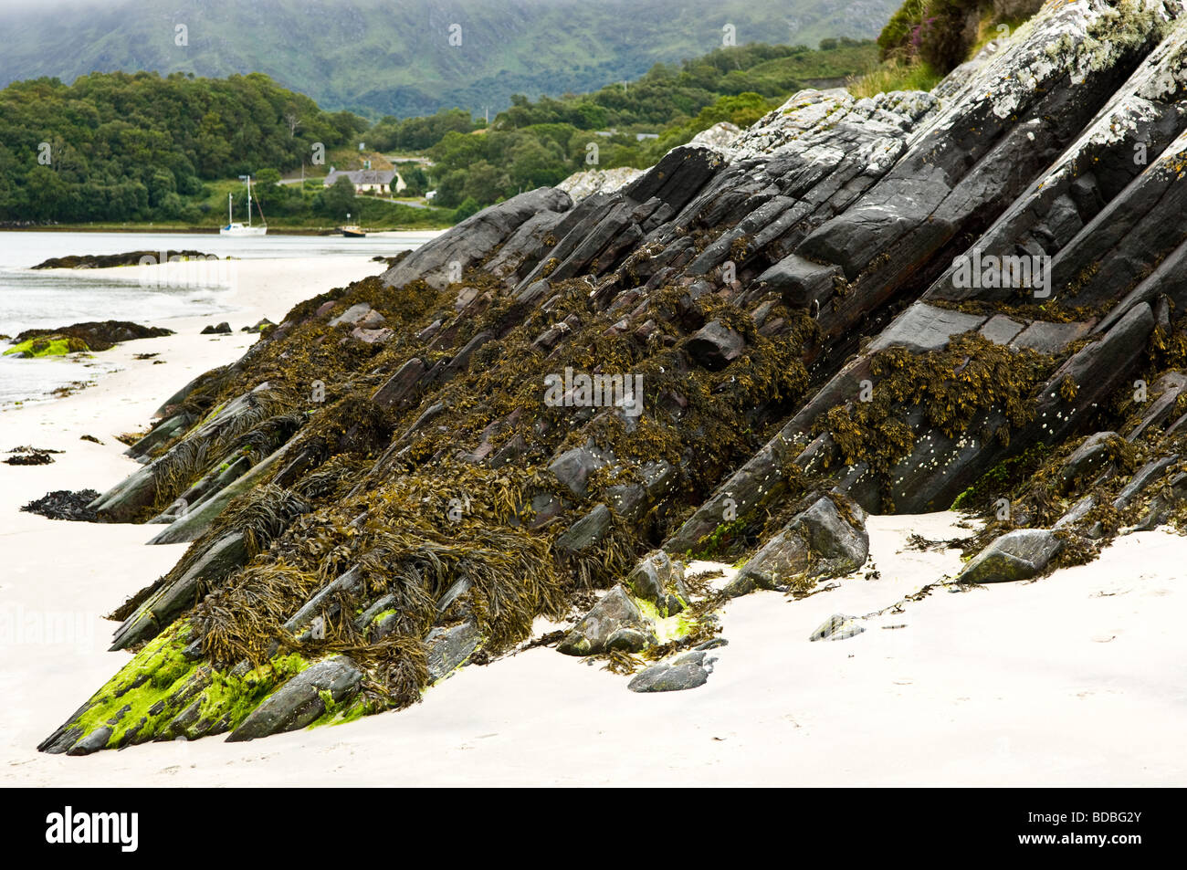 Sedimentgesteinsformation am strand -Fotos und -Bildmaterial in hoher Auflösung – Alamy