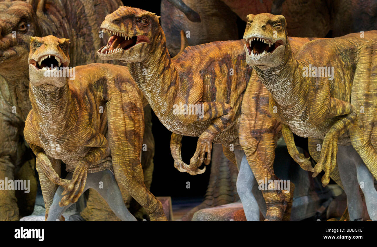 Lebensechte dinosaurier -Fotos und -Bildmaterial in hoher Auflösung – Alamy