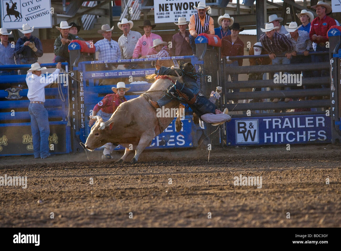Cowboy Chasing Cow Stockfotos und -bilder Kaufen - Alamy